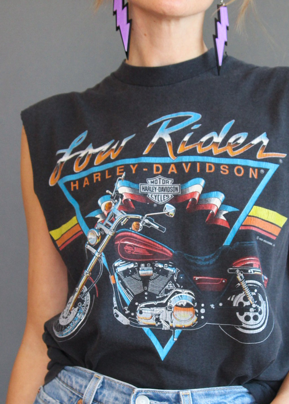 Vintage 1991 Harley Low Rider Tank – Electric West